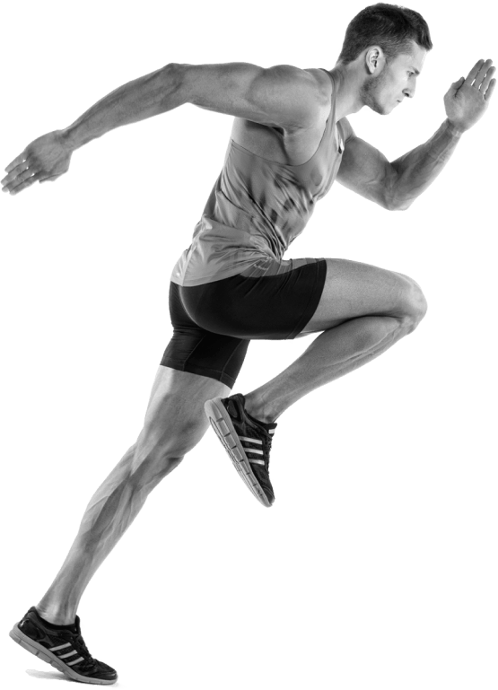 Aytor - Multipurpose eCommerce HTML Template - Home One